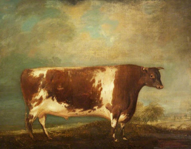 The Garstang Farmer’s Society Annual Meeting and Show 1818 – Forgotten ...