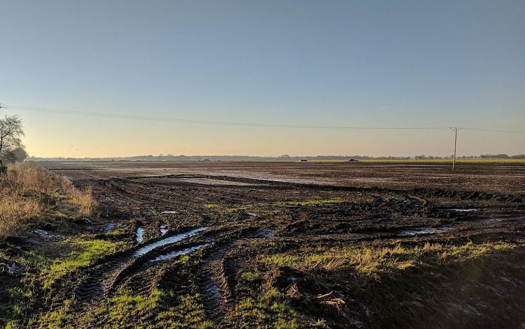 The life of Sir Joshua Walmsley – Chapter VII. – Forgotten Victorians